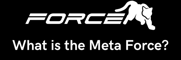 What is MetaFORCE Polygon? - Hustler Diaries